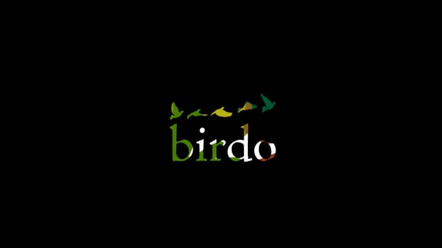 Birdo Studio on Vimeo