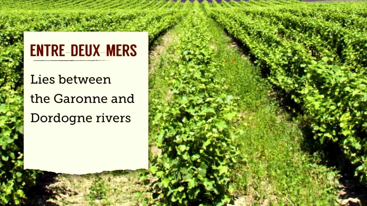 Alfio Moriconi discusses Bordeaux Blanc on Vimeo