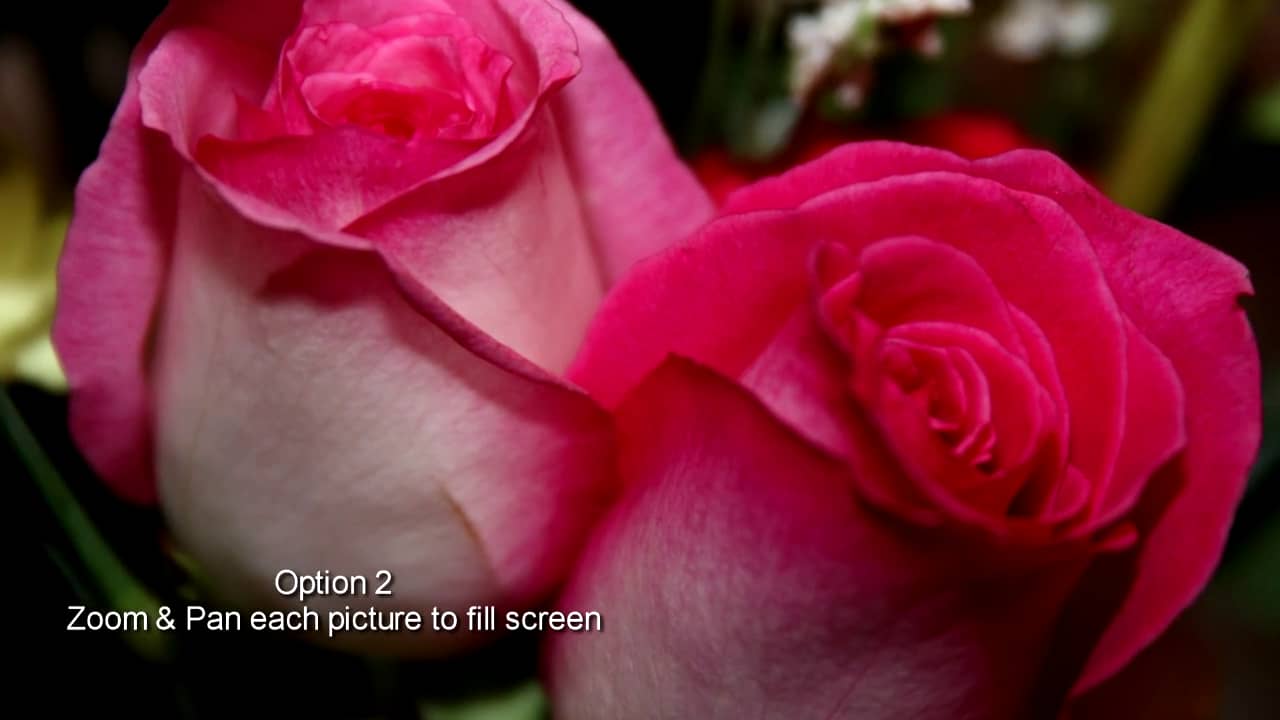 Crossfade Montage Examples on Vimeo