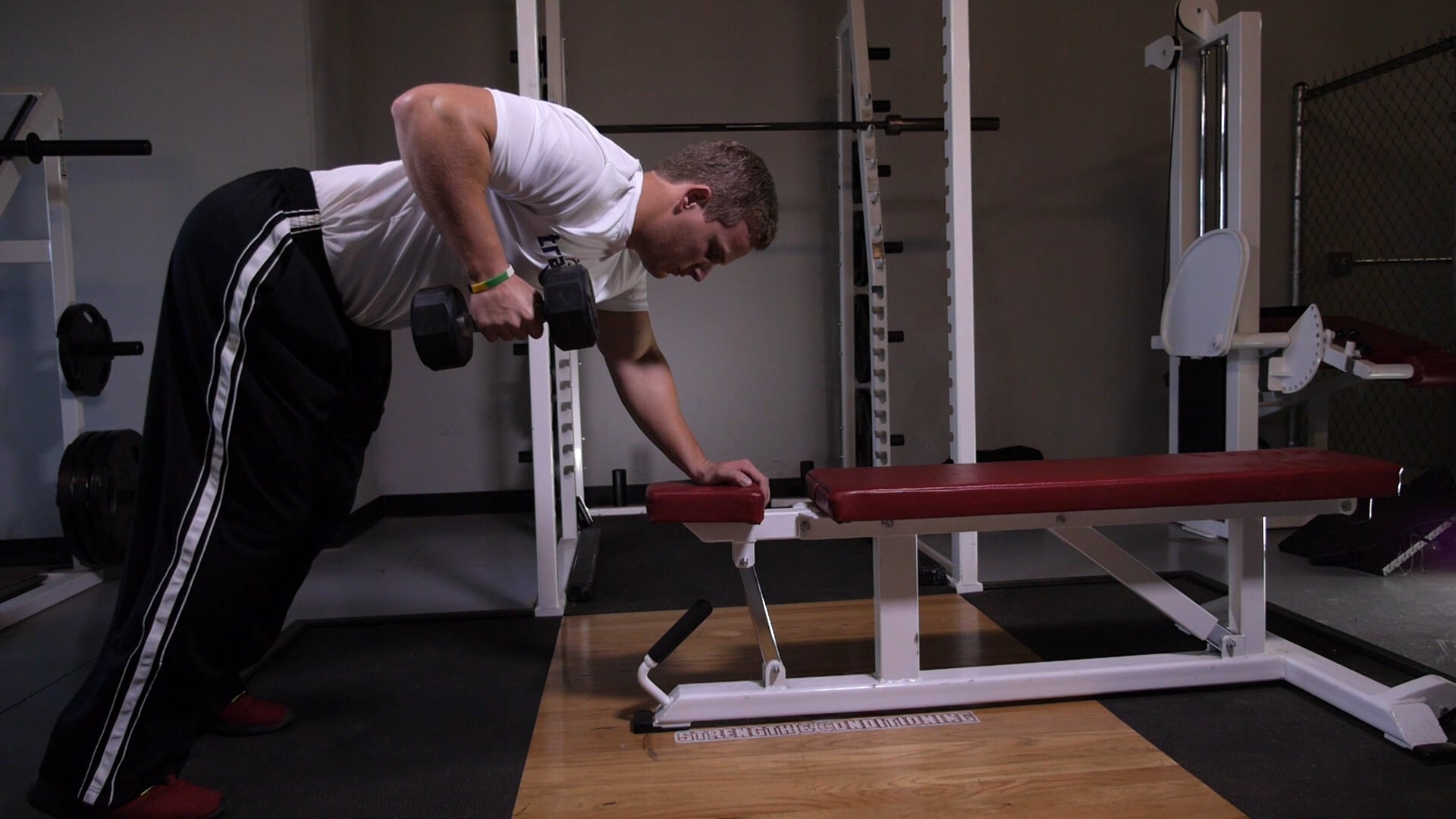 Single Arm Dumbbell Row.mp4 on Vimeo