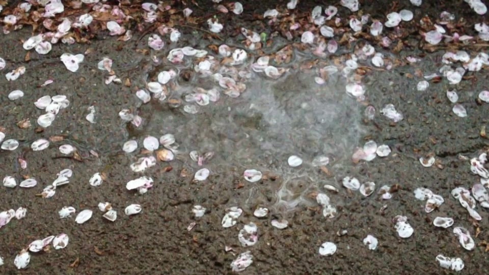 puddle: a video definition on Vimeo