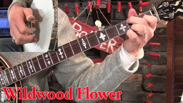 Banjo Ben Wildwood Flower Tab Best Flower Site