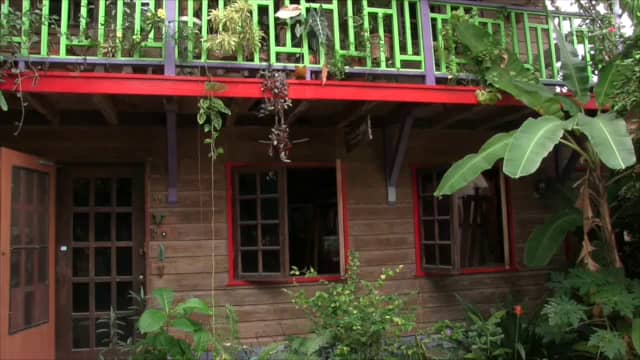 Arte Vivo Samuel Lind on Vimeo