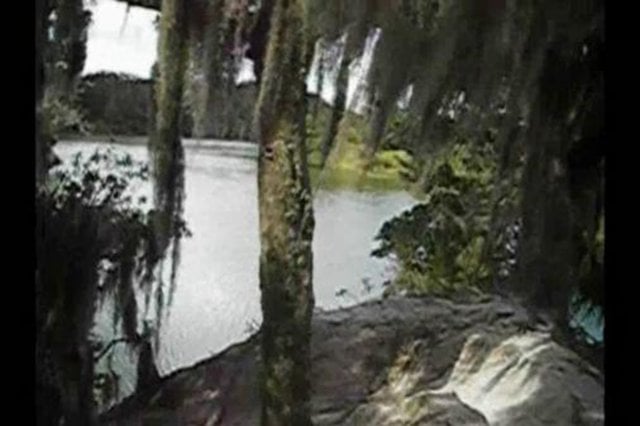 Carter Road MTB trail Lakeland Florida on Vimeo