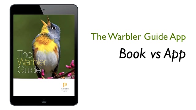The Warbler Guide | Princeton University Press