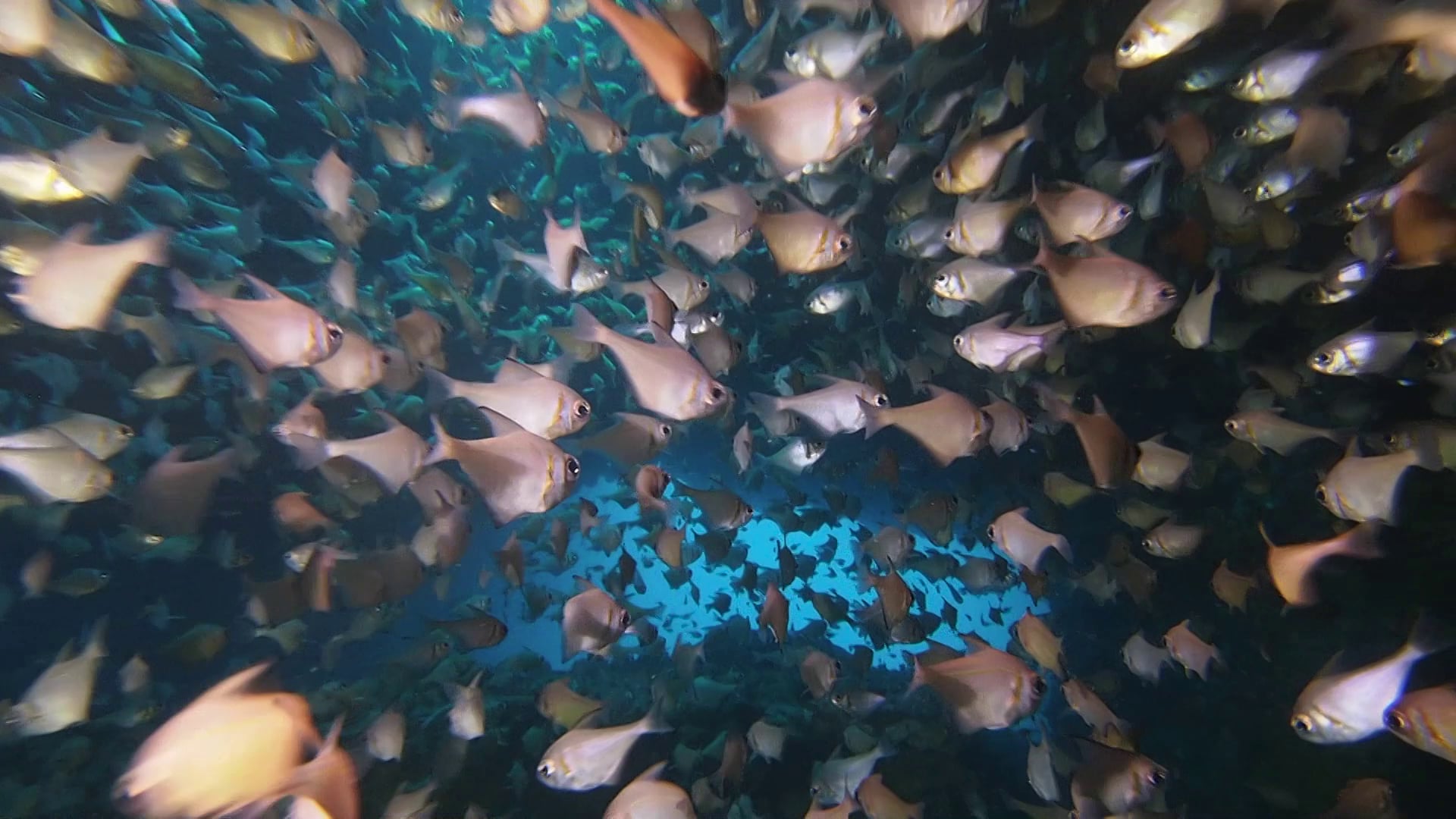 The Opera House, Rottnest Island on Vimeo