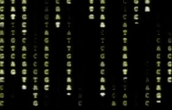 Ghost in your genes (BBC) (3)