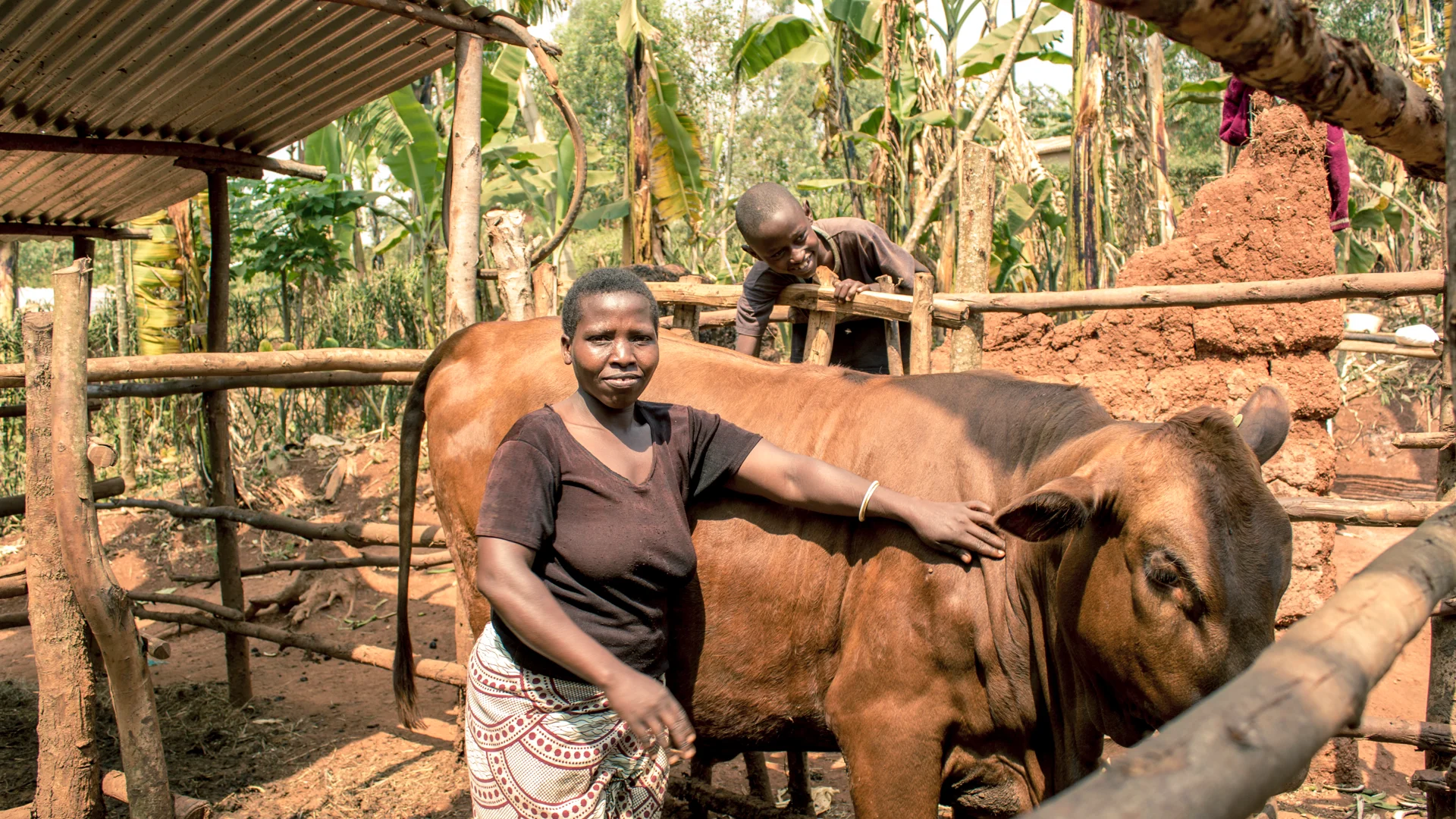 ARDR Allies-HIV/AIDS Support on Vimeo