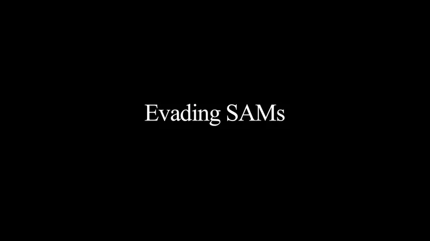 SAMs on Vimeo