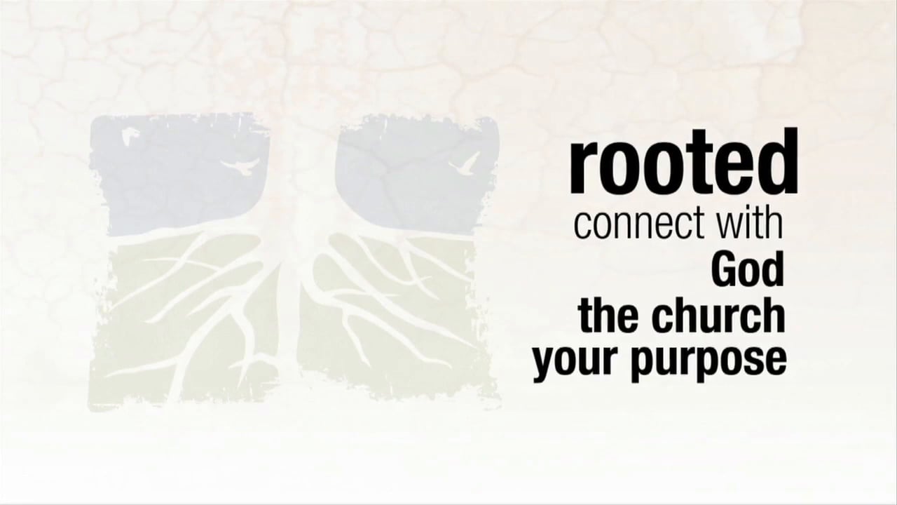 Rooted Purpose Staff Promo on Vimeo