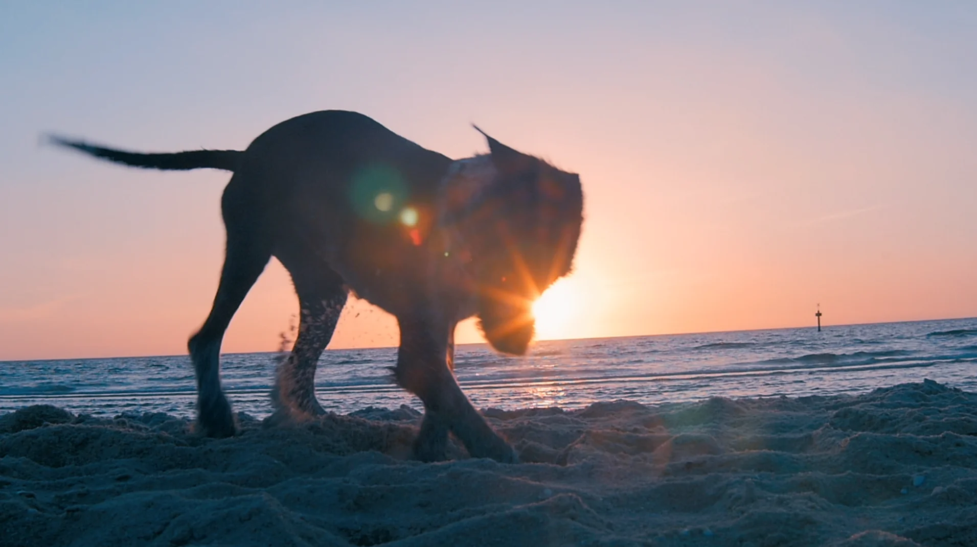 Welcome to 2015 on Vimeo