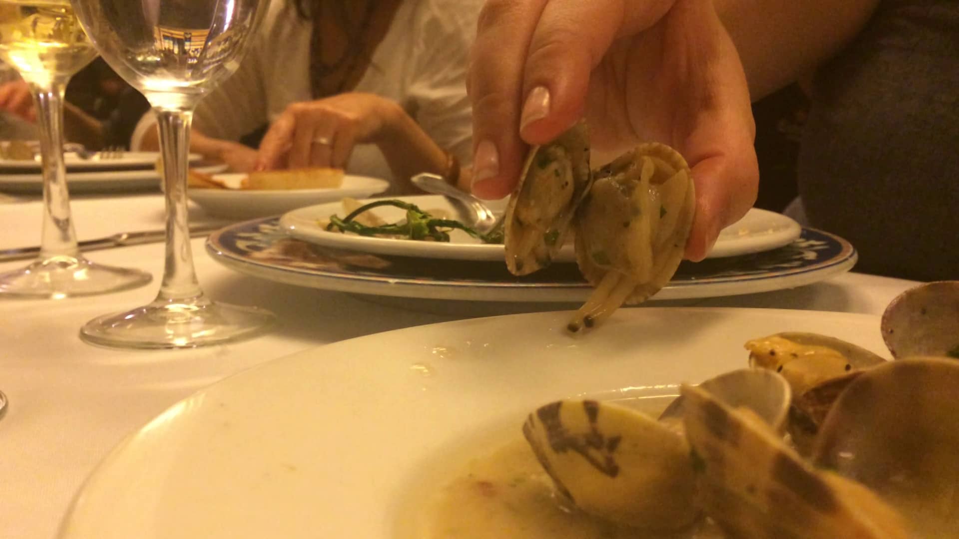 Dancing clams on Vimeo