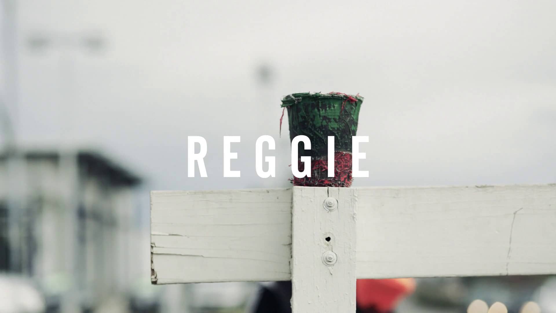 Reggie on Vimeo
