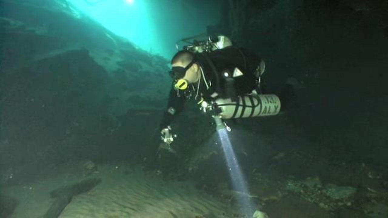 Manatee Springs Cave Dive on Vimeo