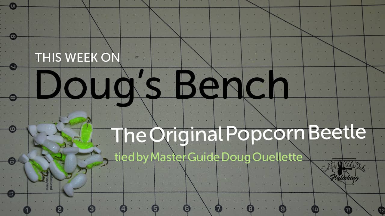Doug's Bench - Episode 1: The Original Popcorn Beetle on Vimeo
