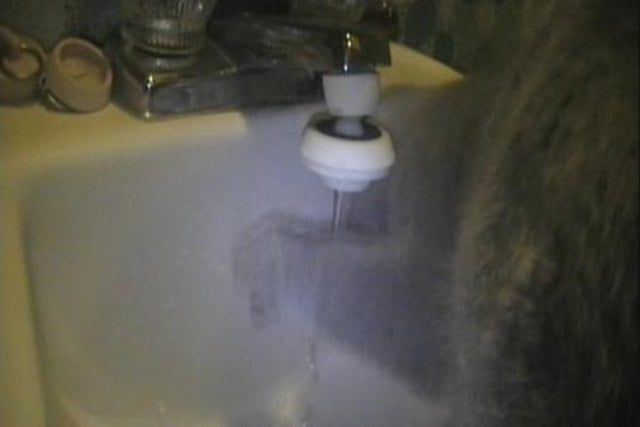 Winston The Cat on Vimeo