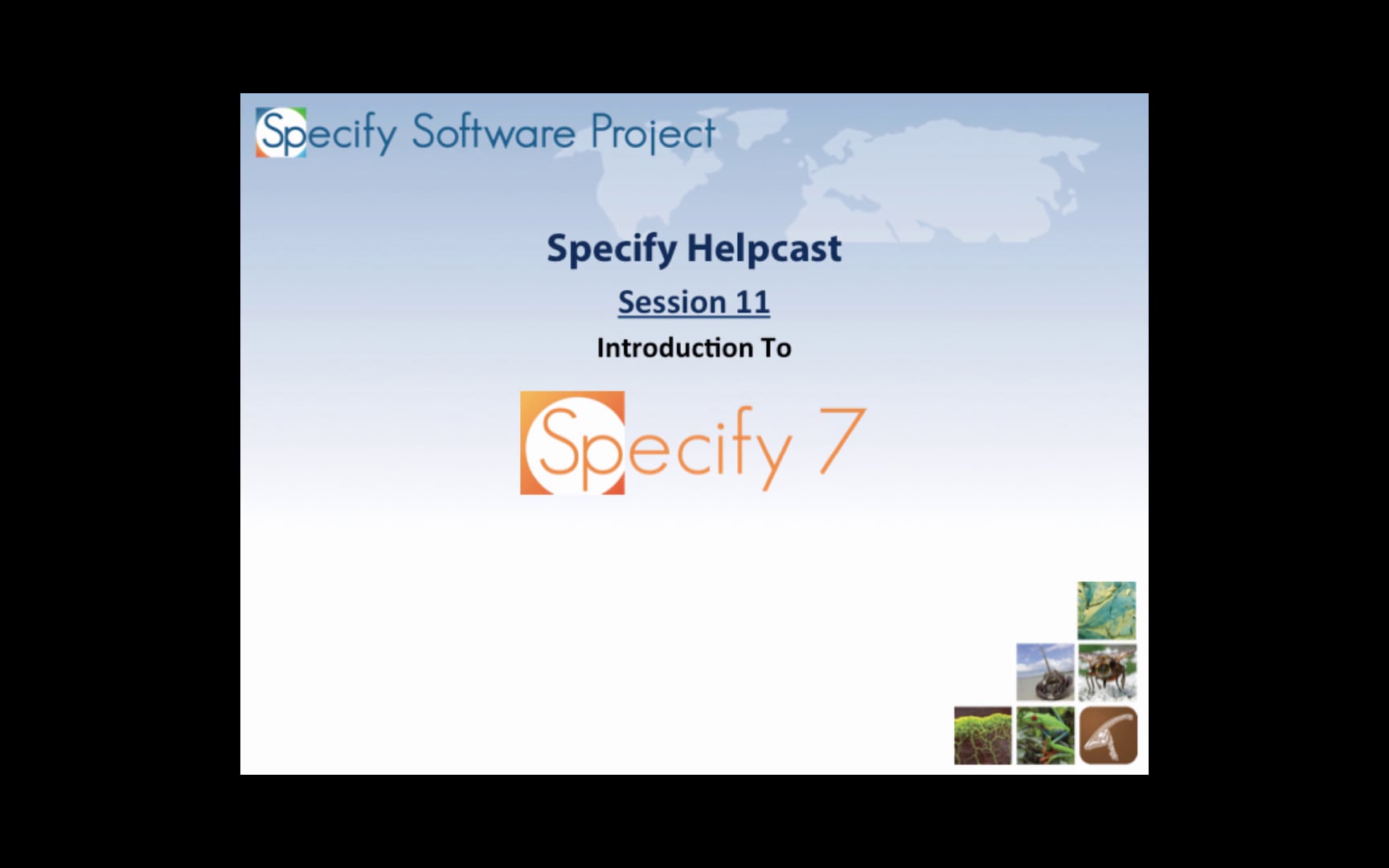 Specify HelpCast 11--Introduction to Specify 7 on Vimeo