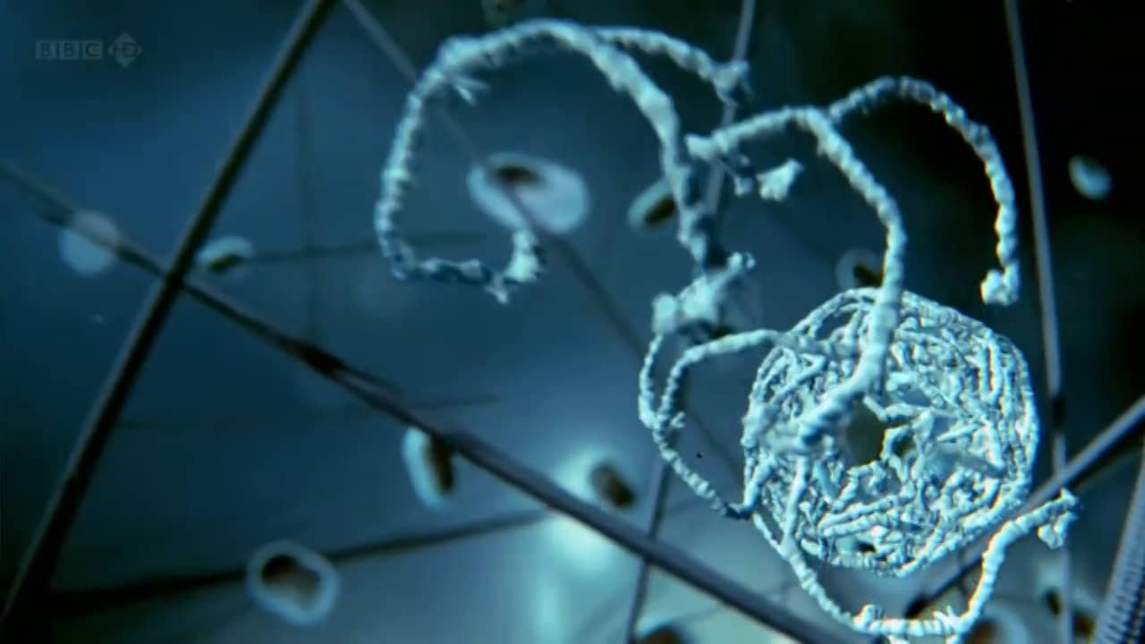 BBC Our Secret Universe - The hidden Life of the Cell on Vimeo
