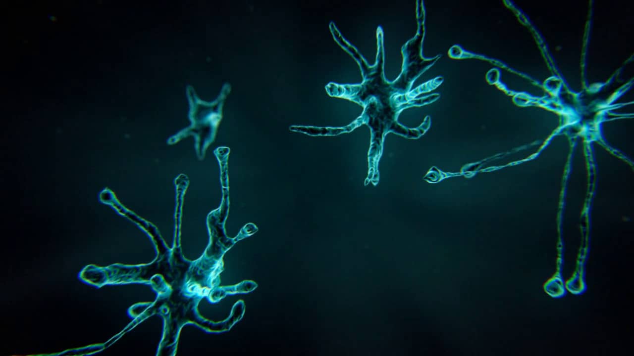 Growing Dendrites // C4D Example on Vimeo