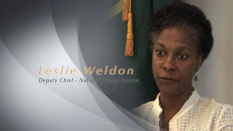 Leslie Weldon Deputy Chief for National Forest System with the USDA ...