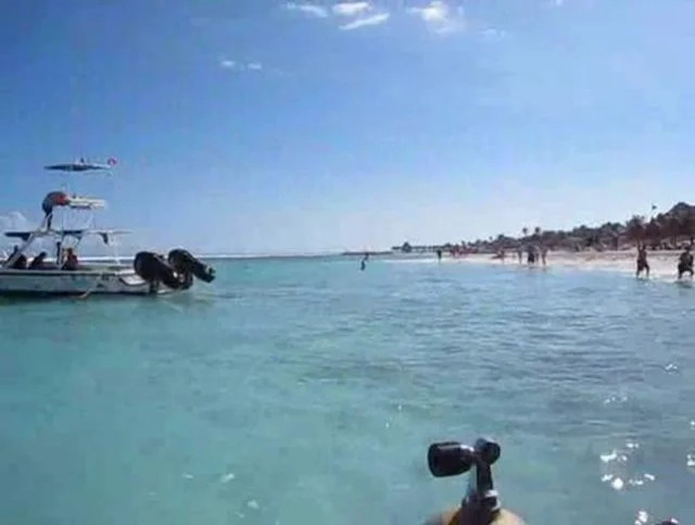 Scuba diving in the ocean on Vimeo