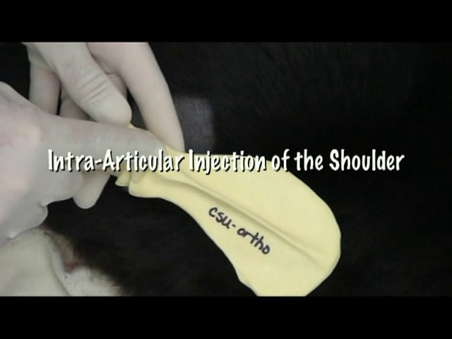 Surgical Procedures - Intra-Articular Injection of the Elbow (Medial ...
