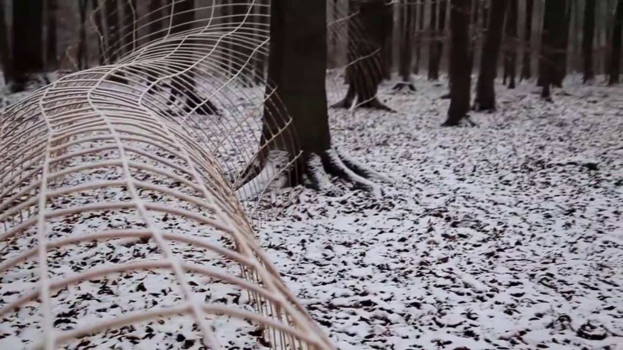 LA CHASSE (the hunt) - John Grade Studio on Vimeo