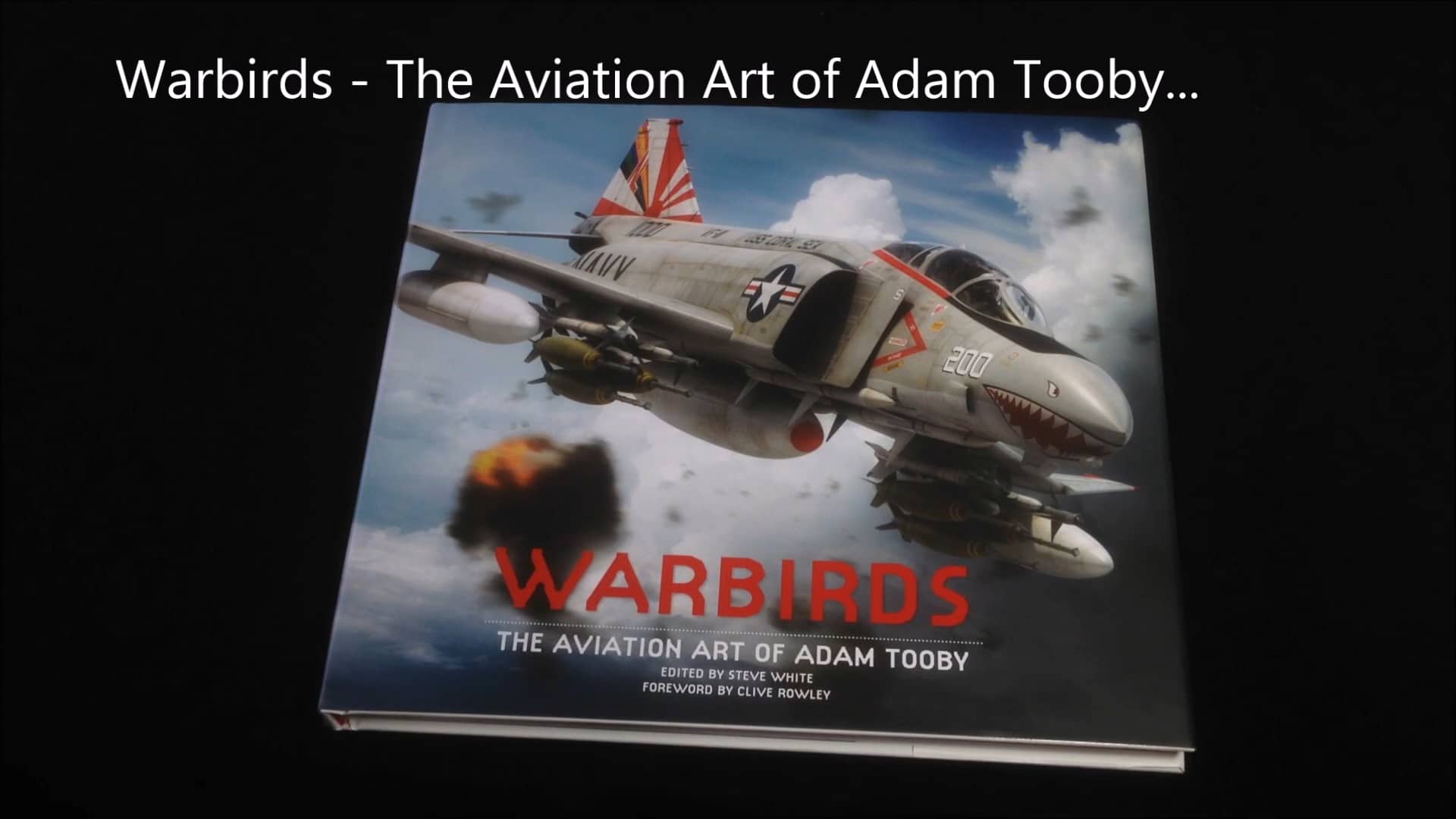Warbirds - The Aviation Art of Adam Tooby.mp4 on Vimeo