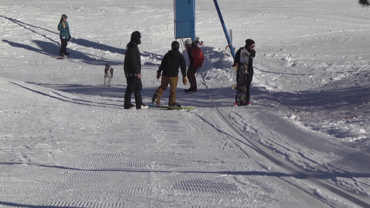 No Leash Fridays with Viktor Simco and Jody Husky - Episode 1 on Vimeo