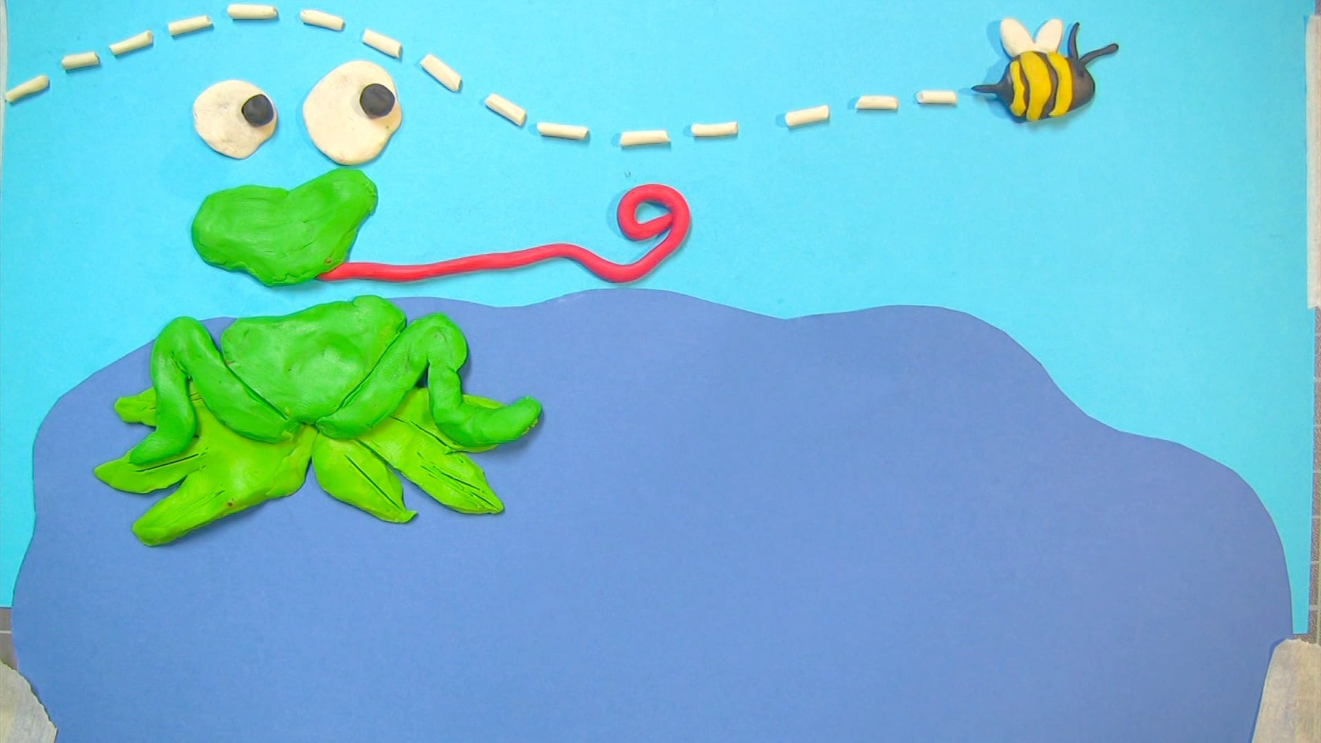 Frog_StopMotion on Vimeo