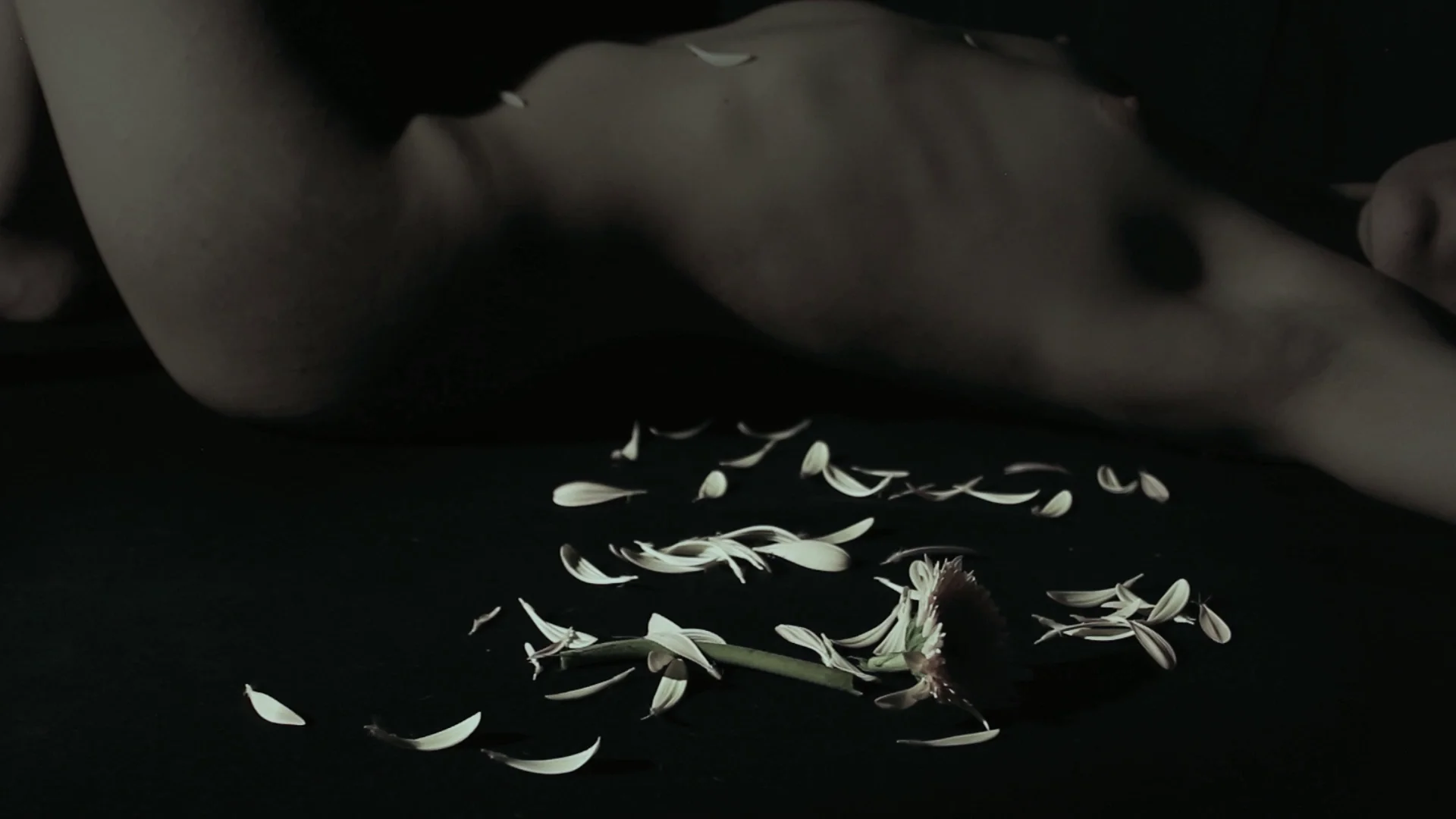 La Traviata in Art can be sexy!! on Vimeo