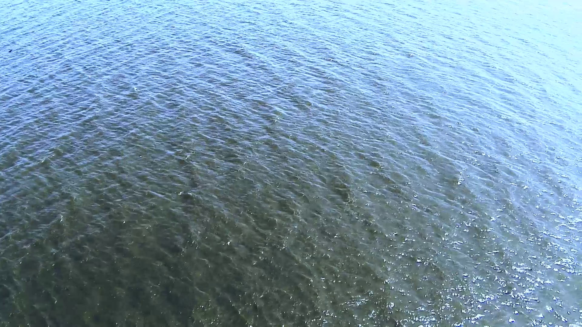 she got the feeling - derek chafin | joanna justice on Vimeo