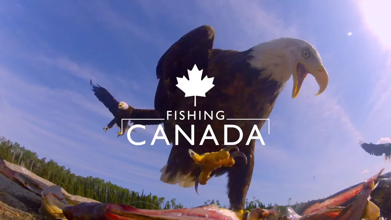Fishing Canada on Vimeo