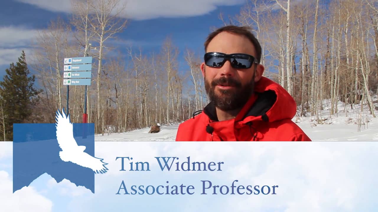 Tim Widmer - Professor Profile on Vimeo
