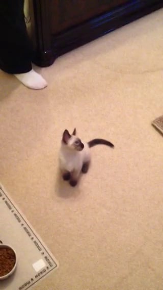 Craig M. Stram on Vimeo