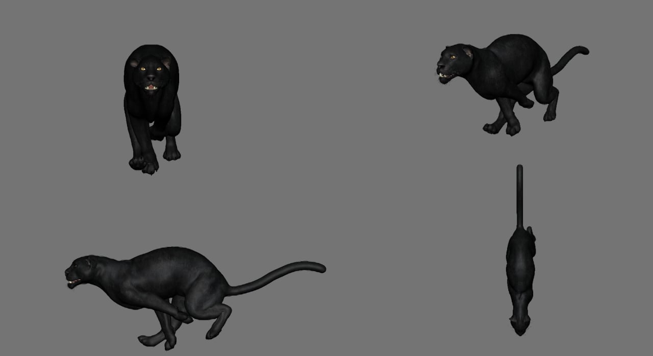 Lion_Run test