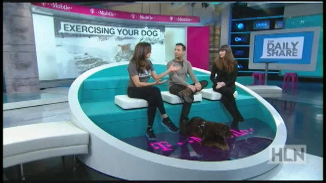 How to Exercise Your Dog on Vimeo