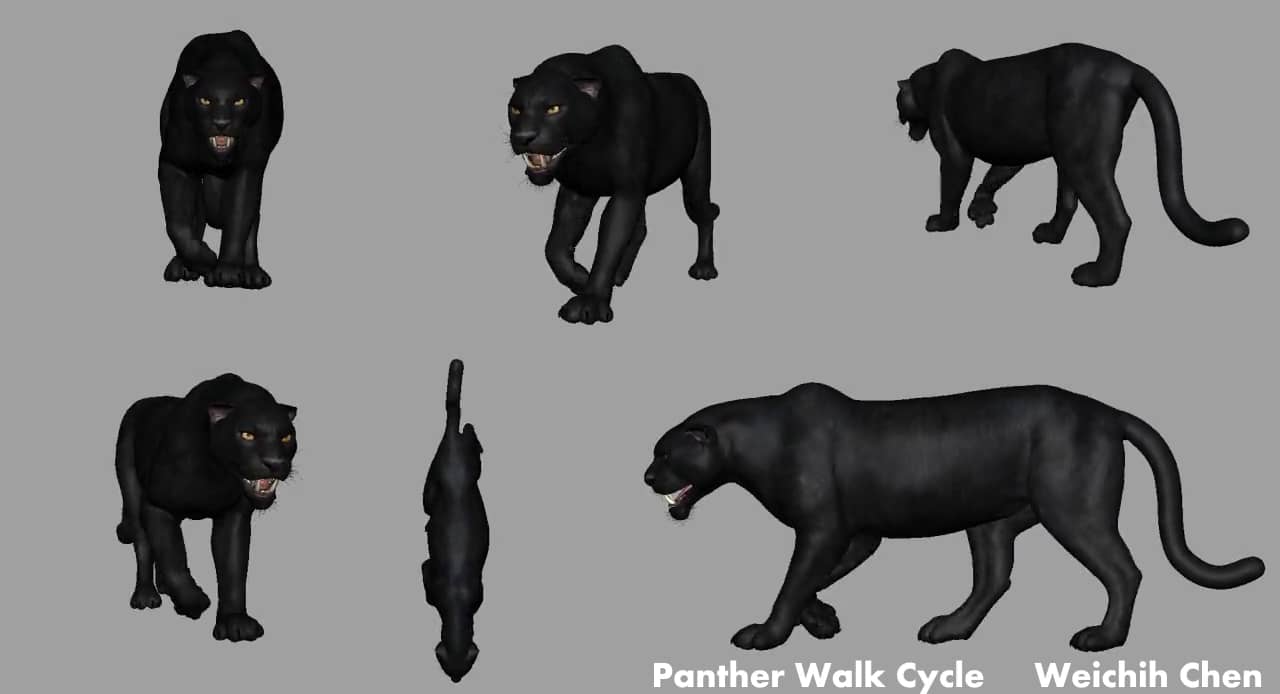 Panther Walk cycle test on Vimeo