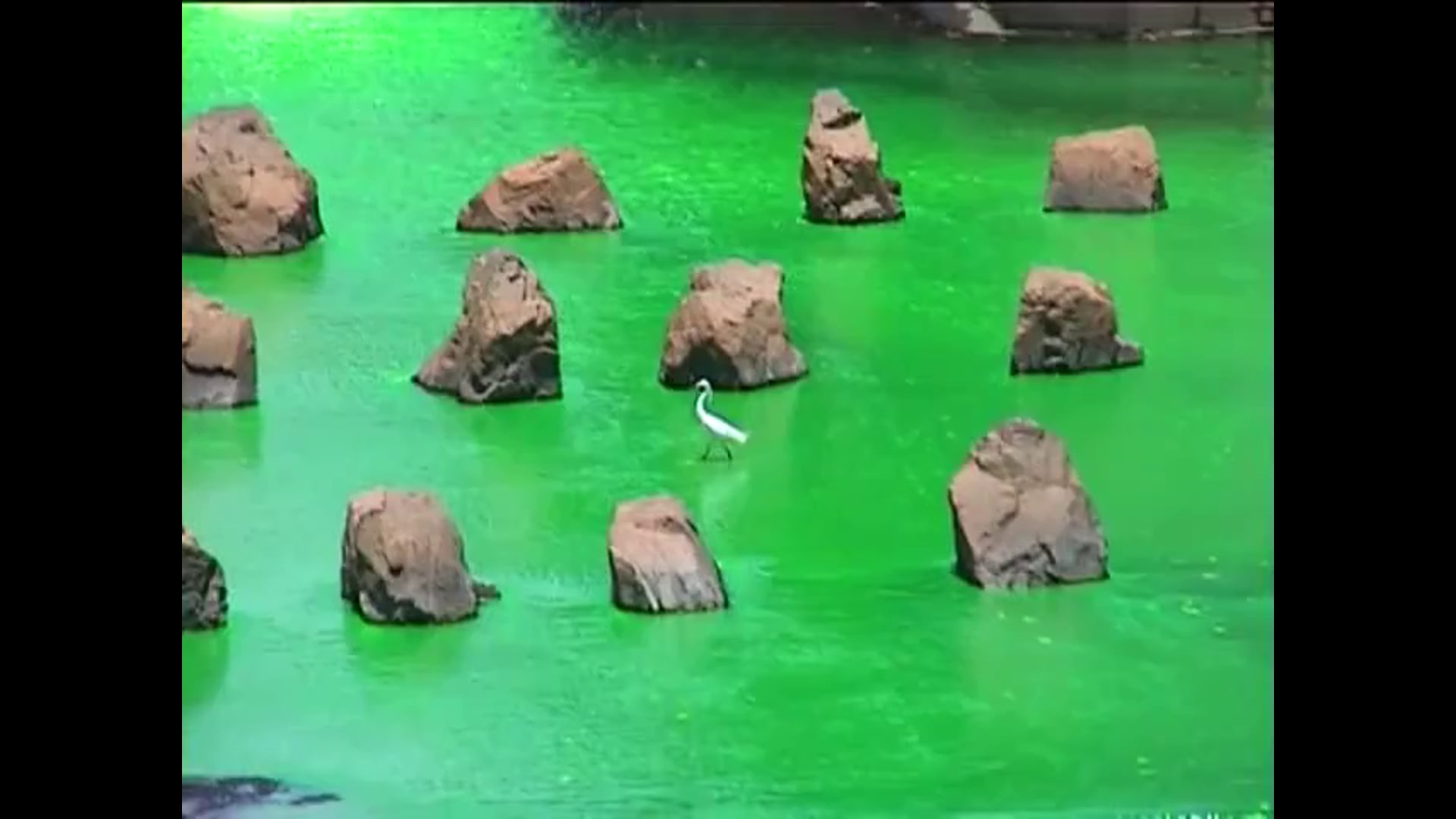 Green river • Artwork • Studio Olafur Eliasson