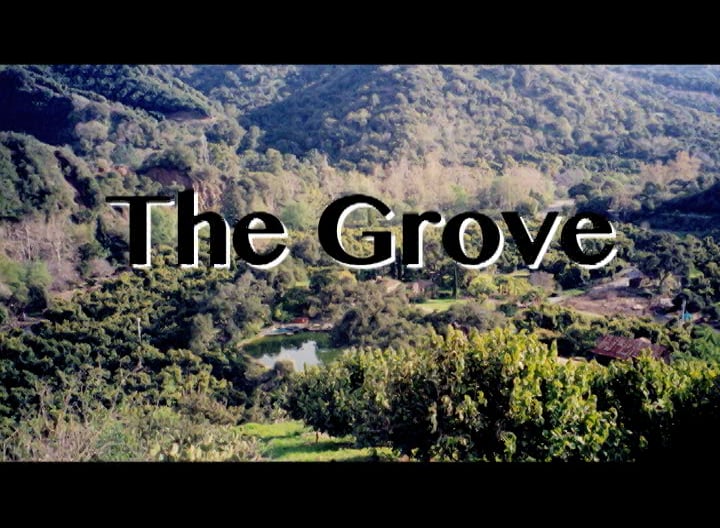 Watch The Grove Online | Vimeo On Demand on Vimeo