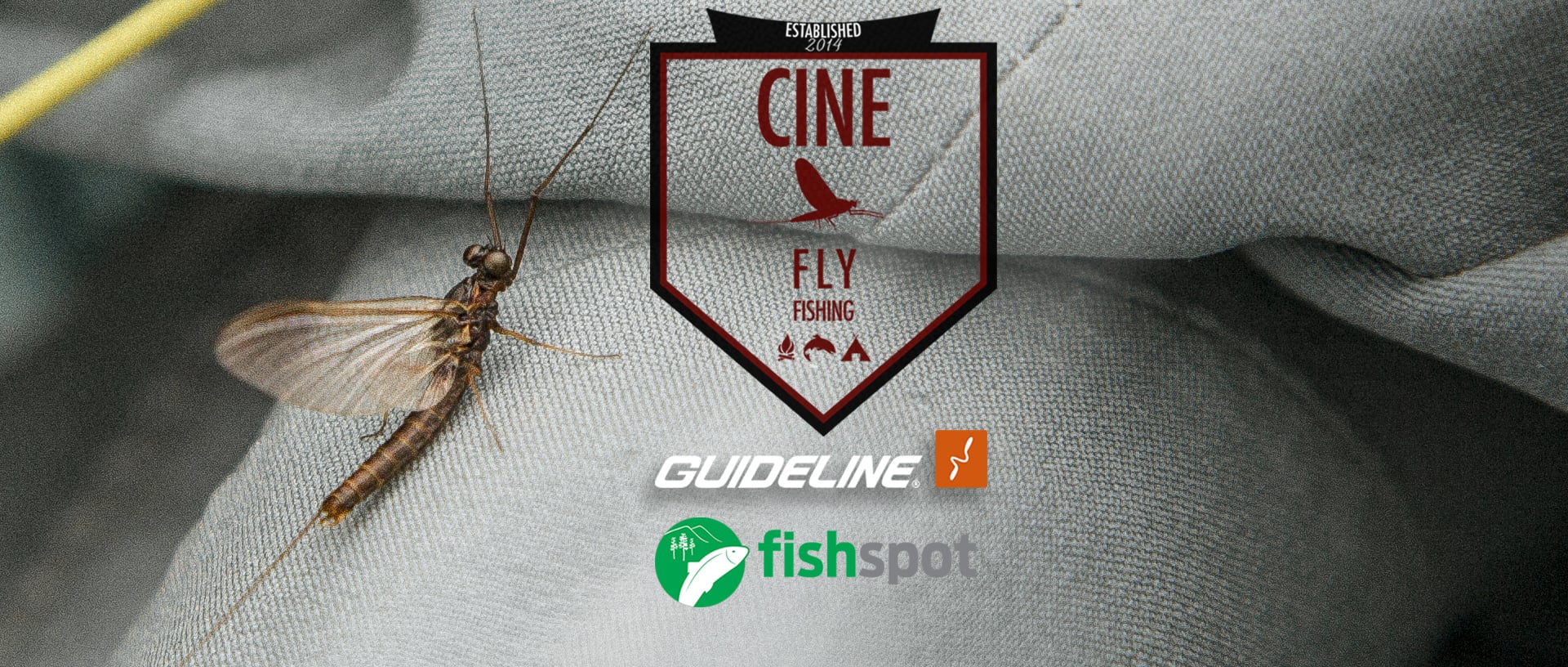 CheesyFly - II - The Beauty And The Fly on Vimeo