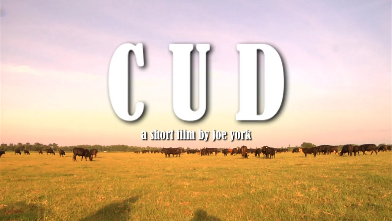 CUD on Vimeo