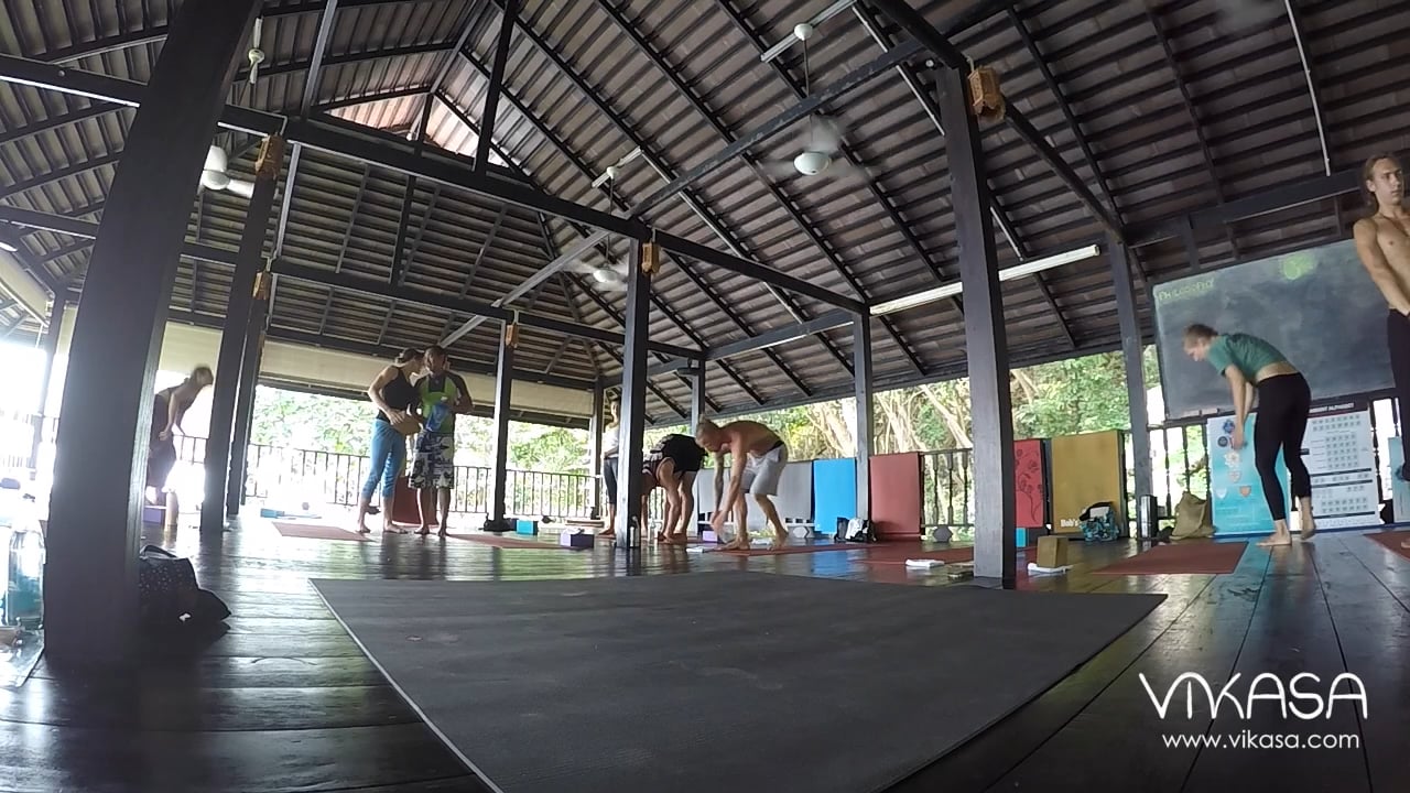 Vikasa Yoga Asana Sequence 5 (Morning) - taught by Kosta Miachin on Vimeo