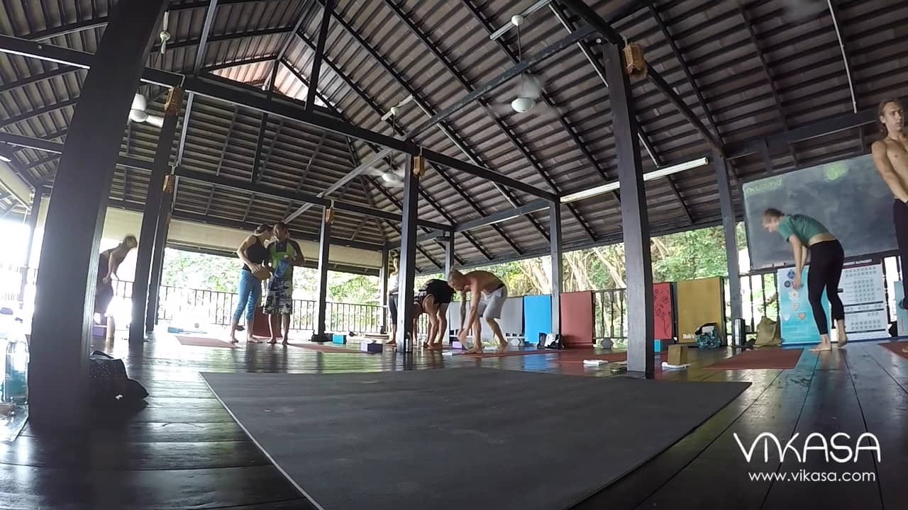 Vikasa Yoga Asana Sequence 5 (Morning) - taught by Kosta Miachin on Vimeo