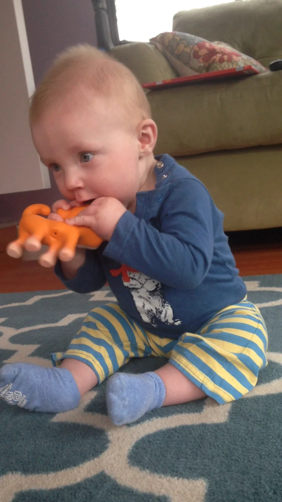 Benji sitting up on Vimeo