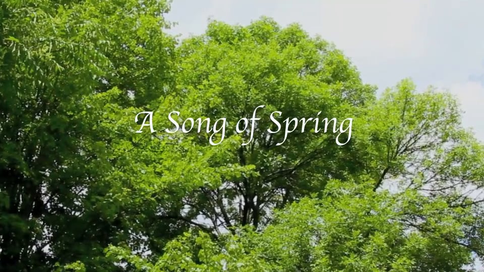 A Song of Spring on Vimeo