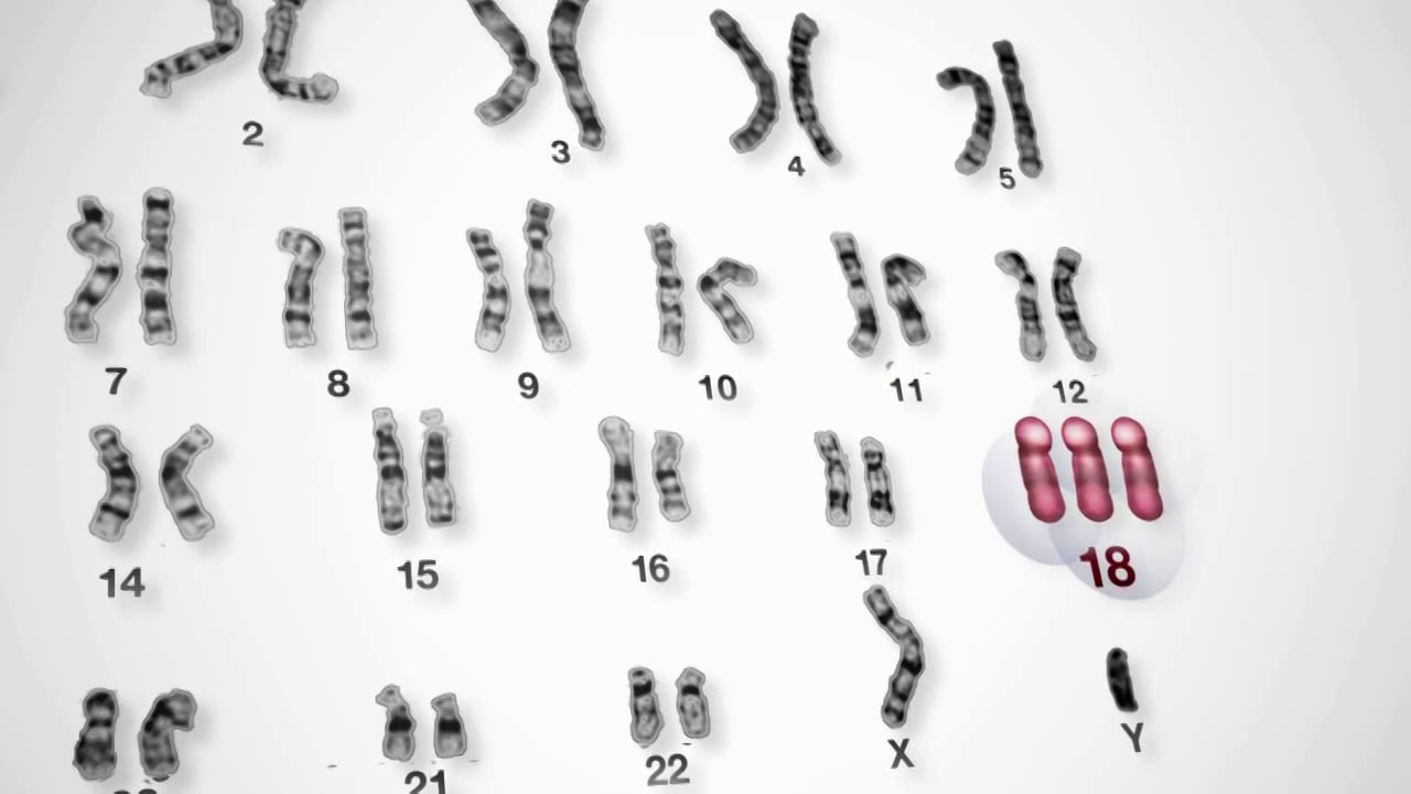 Natera Counseling Video %7C Part 1 - Genetics (1) on Vimeo