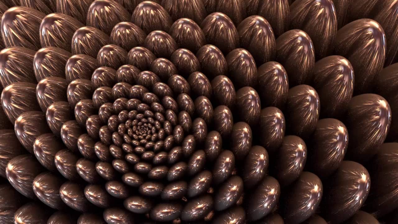 Phyllotactic Zoetrope on Vimeo
