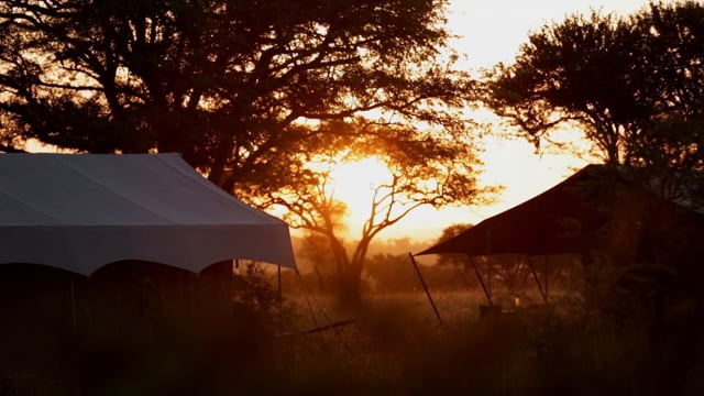 Video: Singita - Behind Explore | Singita