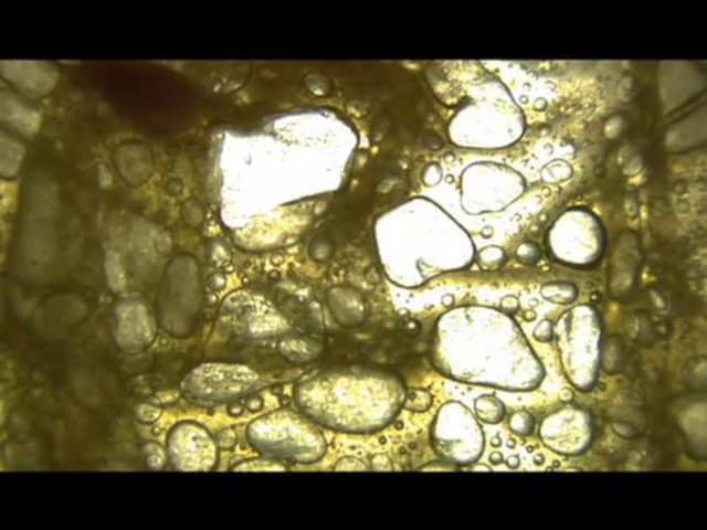 Orange Soda and Toilet Paper on Vimeo